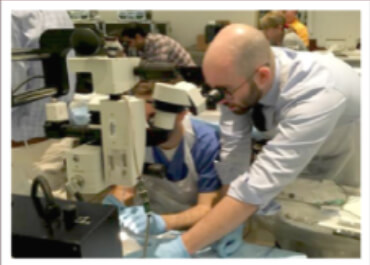 wet lab_wisner | Wills Eye Hospital